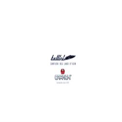 Bellini Nautica - Cantiere navale a Iseo Via Carlo Lanza, 28, 25049 ...